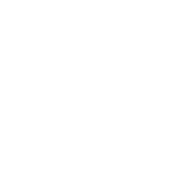 Netgem (ALNTG.PA) - P/B ratio