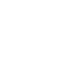 Alok Industries (ALOKINDS.NS) - Market capitalization
