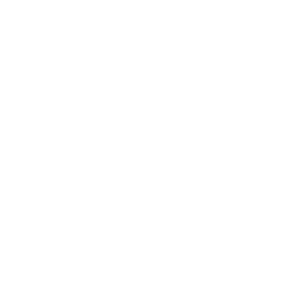 Allurion Technologies (ALUR) - Total assets