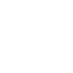 Alithya Group (ALYA.TO) - Market capitalization