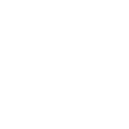 Ambu (AMBU-B.CO) - Revenue