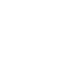 Animalcare Group (ANCR.L) - P/E ratio