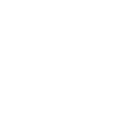 Arista Networks (ANET) - Stock price history