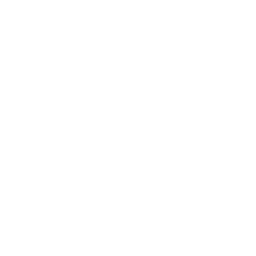 AngioDynamics (ANGO) - P/S ratio