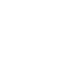 Antin Infrastructure Partners (ANTIN.PA) - P/E ratio