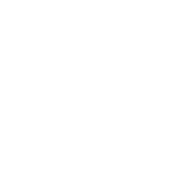AN2 Therapeutics (ANTX) - P/E ratio