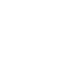 Anup Engineering (ANUP.NS) - P/E ratio