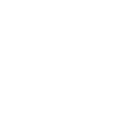 Auto Partner (APR.WA) - Earnings