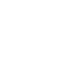 Appen (APX.AX) - Stock price history
