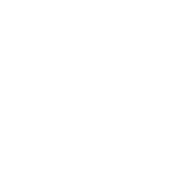 Arrival (ARVL) - Stock price history