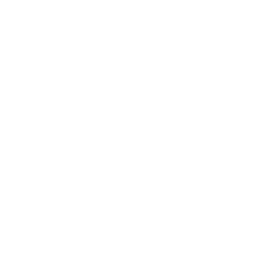 Arezzo Indústria e Comércio (ARZZ3.SA) - Revenue