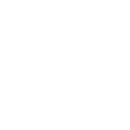 ASLAN Pharmaceuticals (ASLN) - Net Assets