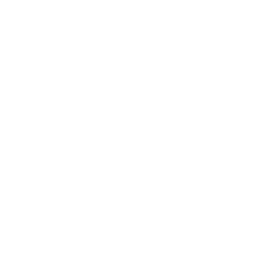 Amer Sports (AS) - EPS (earnings per share)
