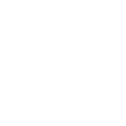 Atlanticus (ATLC) - Revenue