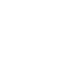 Auric Minerals (AUMC.CN) - P/B ratio