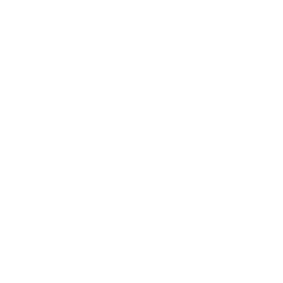 Avient - 10-K annual report