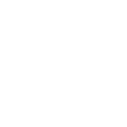 AvePoint (AVPT) - Market capitalization