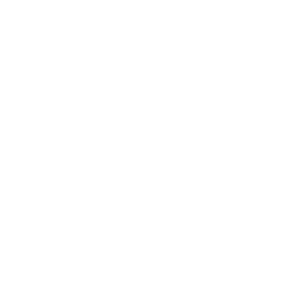Axon Enterprise (AXON) - Market capitalization