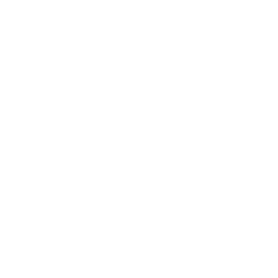 AspenTech (AZPN) - Revenue