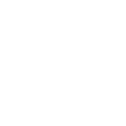 Booz Allen Hamilton - 10-Q quarterly report FY2025 Q3