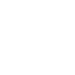 Battalion Oil (BATL) - Total assets