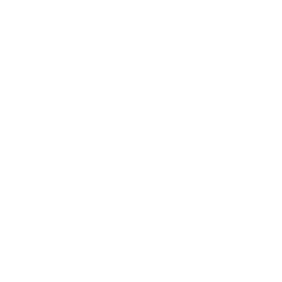 Bank Rakyat Indonesia (BBRI.JK) - P/E ratio