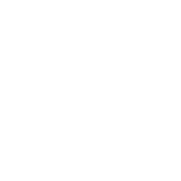 Burckhardt Compression (BCHN.SW) - Market capitalization