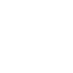 Beam Global (BEEM) - Cash on Hand
