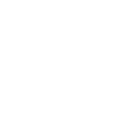 Bullfrog AI (BFRG) - Market capitalization