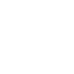 Berkshire Grey (BGRY) - Market capitalization