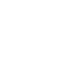 BIDV (Commercial Bank for Investment and Development of Vietnam) (BID ...