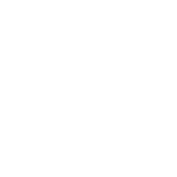 BioAge Labs - Annual Reports (10-K)