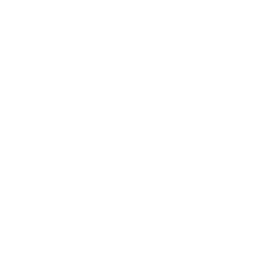 Allbirds (BIRD) - Revenue