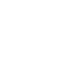 Bank of Ireland Group (BIRG.IR) - Stock price history