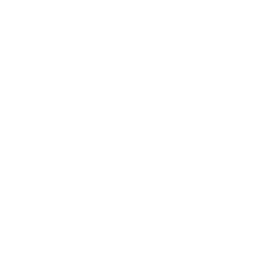 BKS Bank (BKS.VI) - Dividends