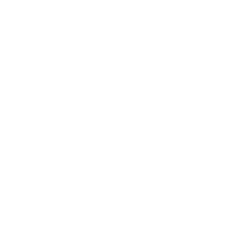 Bausch + Lomb (BLCO) - Market capitalization
