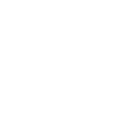 Ballard Power Systems (BLDP) - P/B ratio