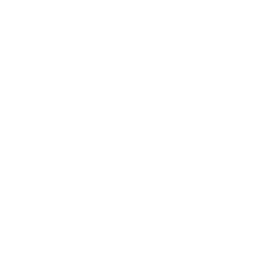 Badger Meter (BMI) - P/E ratio