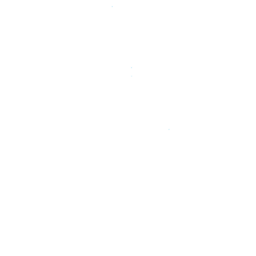 Danone - Financial Statements