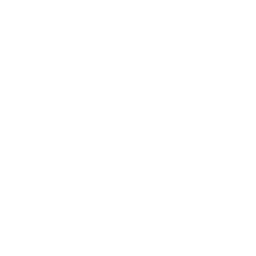 Boliden (BOL.ST) - Stock price history