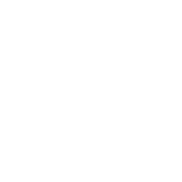 Bonesupport Holding AB (BONEX.ST) - Stock price history