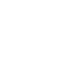 Bowhead Specialty Holdings (BOW) - Capitalisation boursière