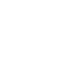 BP - Financial Statements