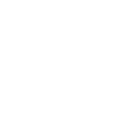 Braze (BRZE) - Revenue