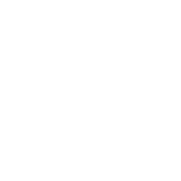 Banco Santander-Chile (BSAC) - P/S ratio