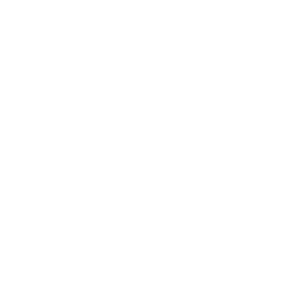 BSE - Annual Reports