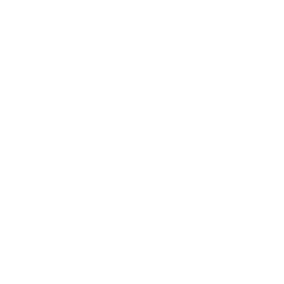 Bet Shemesh Engines (BSEN.TA) - P/E ratio