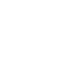 Basilea Pharmaceutica (BSLN.SW) - P/B ratio