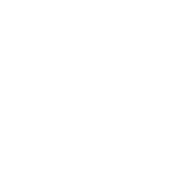 BioXcel Therapeutics (BTAI) - Market capitalization
