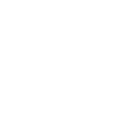 Baytex Energy (BTE) - Shares outstanding